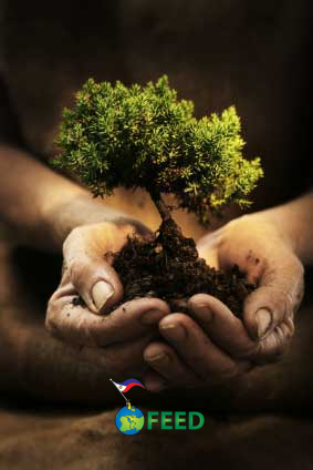2012 FEED & UPLB partner with AFP to Plant Trees | Fostering Education ...