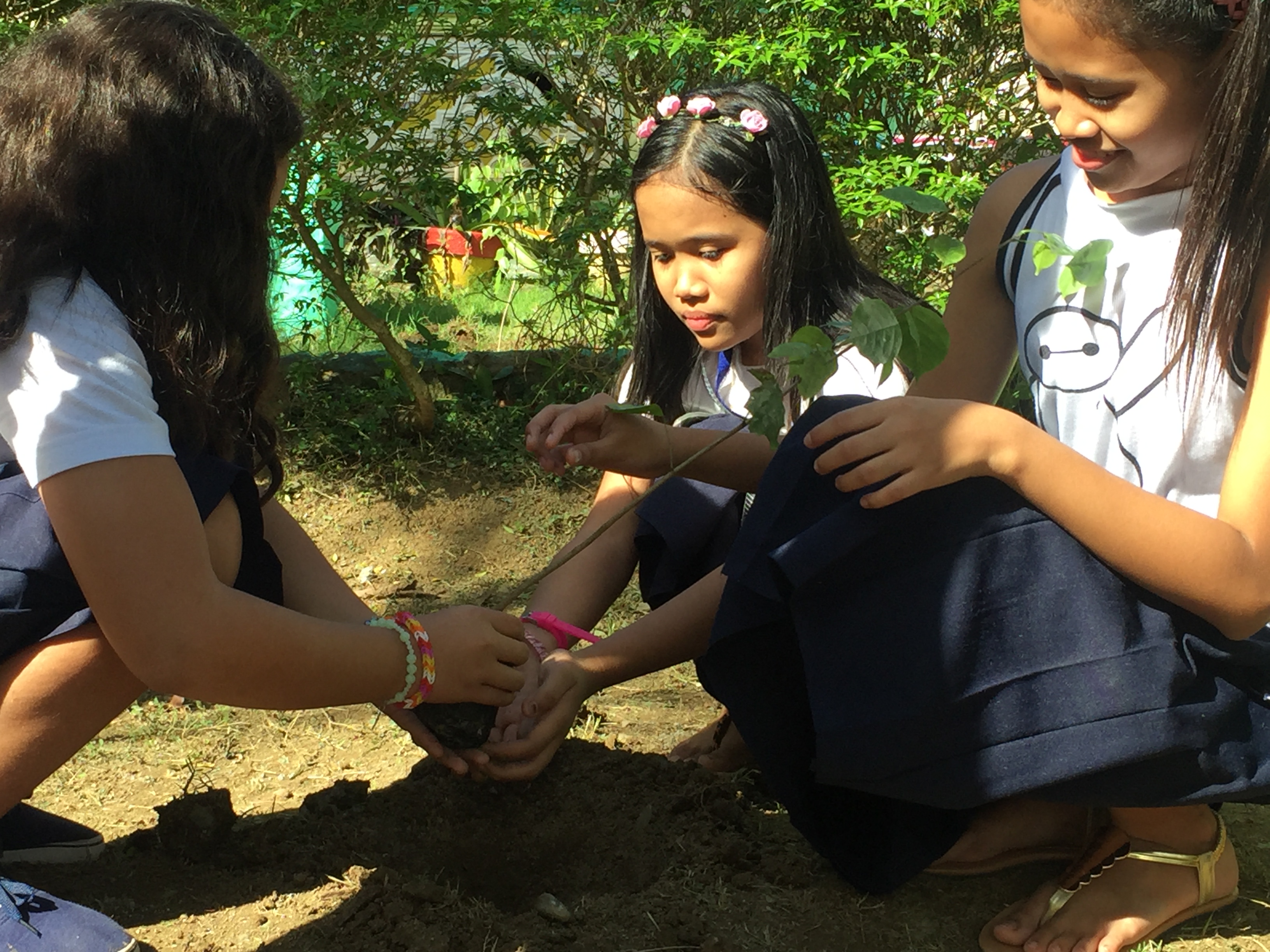 4000 Students Plant 800 Trees in 22 Hagonoy Public Schools to Tackle ...