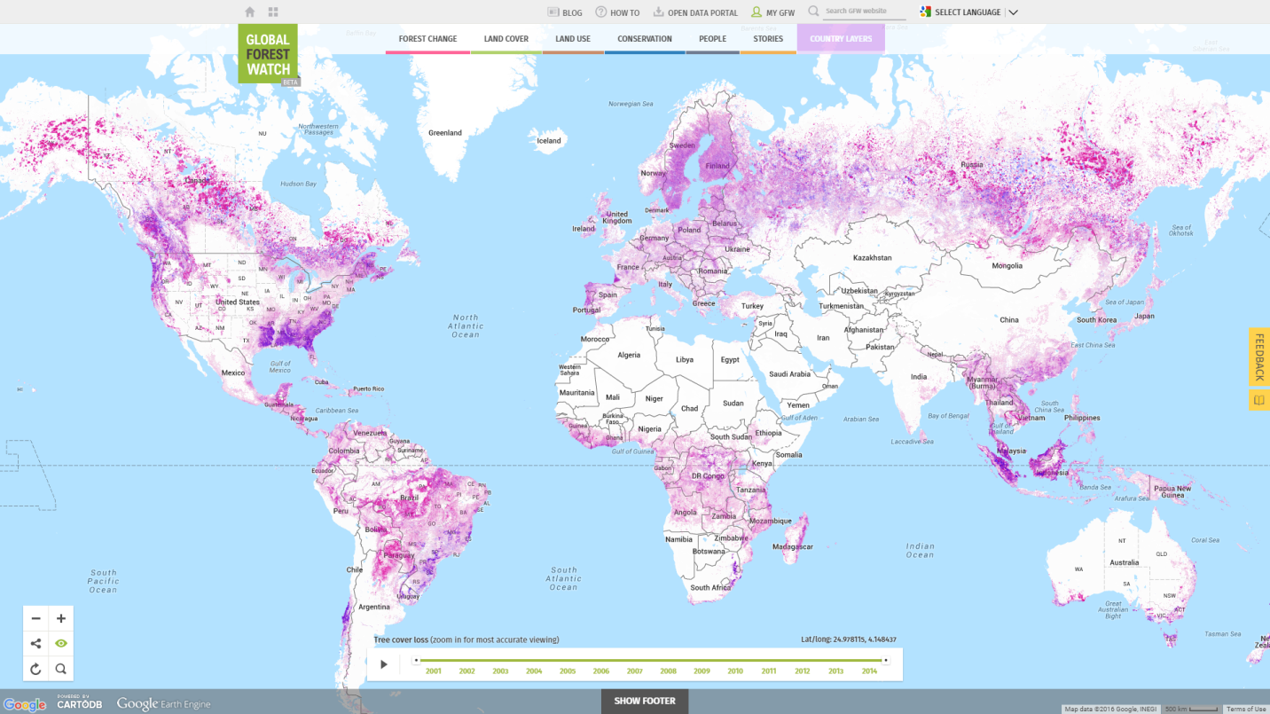 Expanding Forests Could Help Save Our Planet and Ourselves | Fostering ...