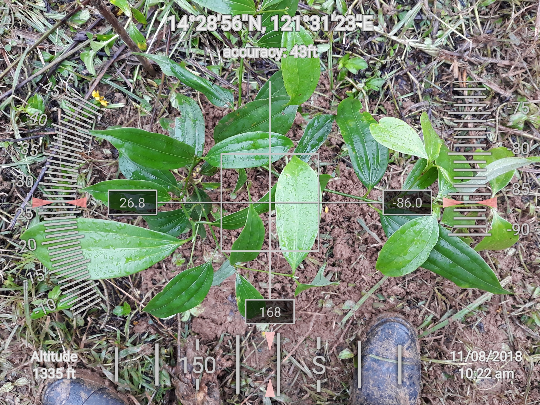 FMC-GPS-LQLG-110820187 | Fostering Education & Environment for ...