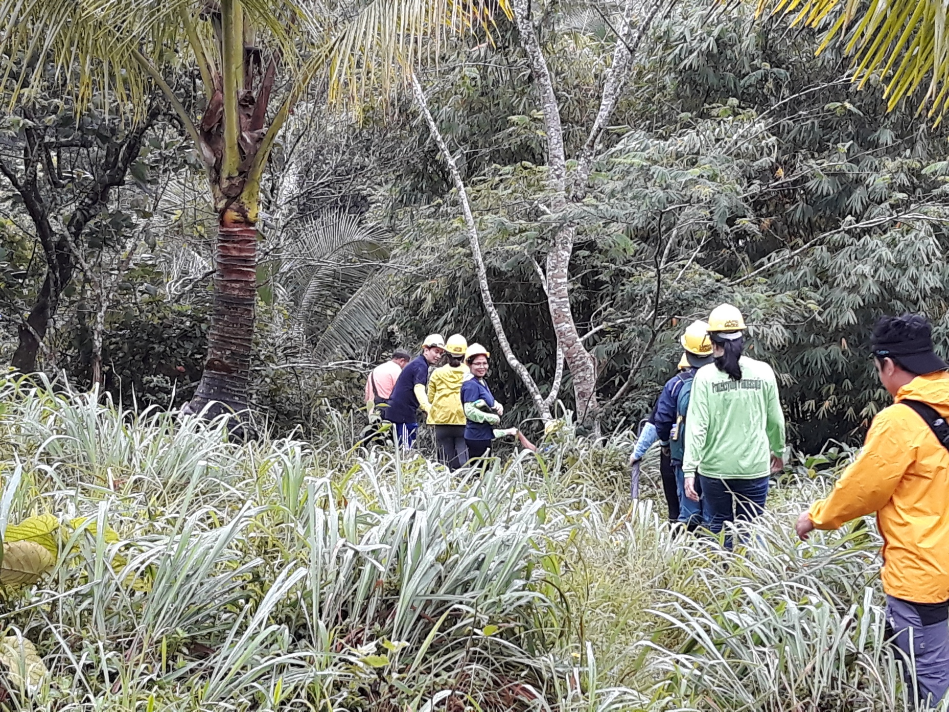 FMC-LQLG-TreePlanting-1108201820 | Fostering Education & Environment ...