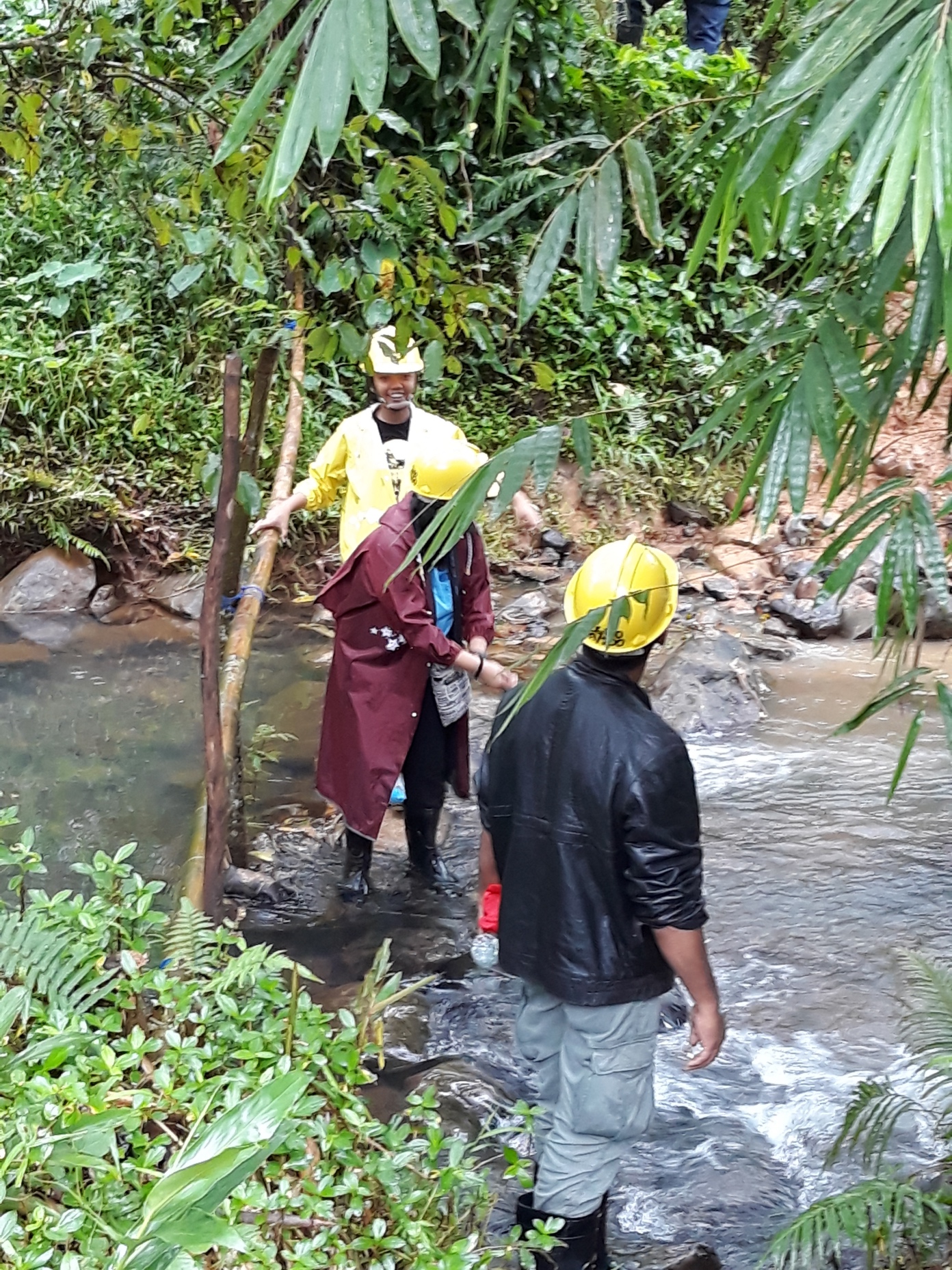 FMC-LQLG-TreePlanting-1108201832 | Fostering Education & Environment ...