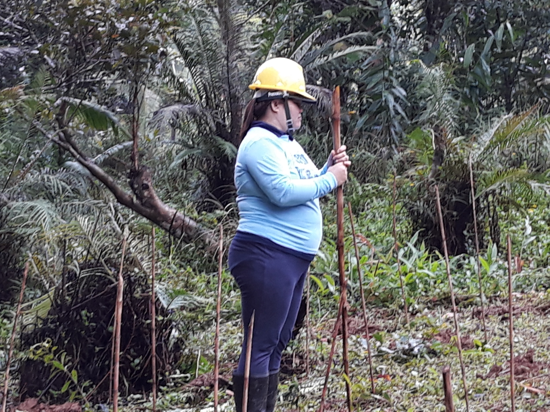 FMC-LQLG-TreePlanting-1108201838 | Fostering Education & Environment ...