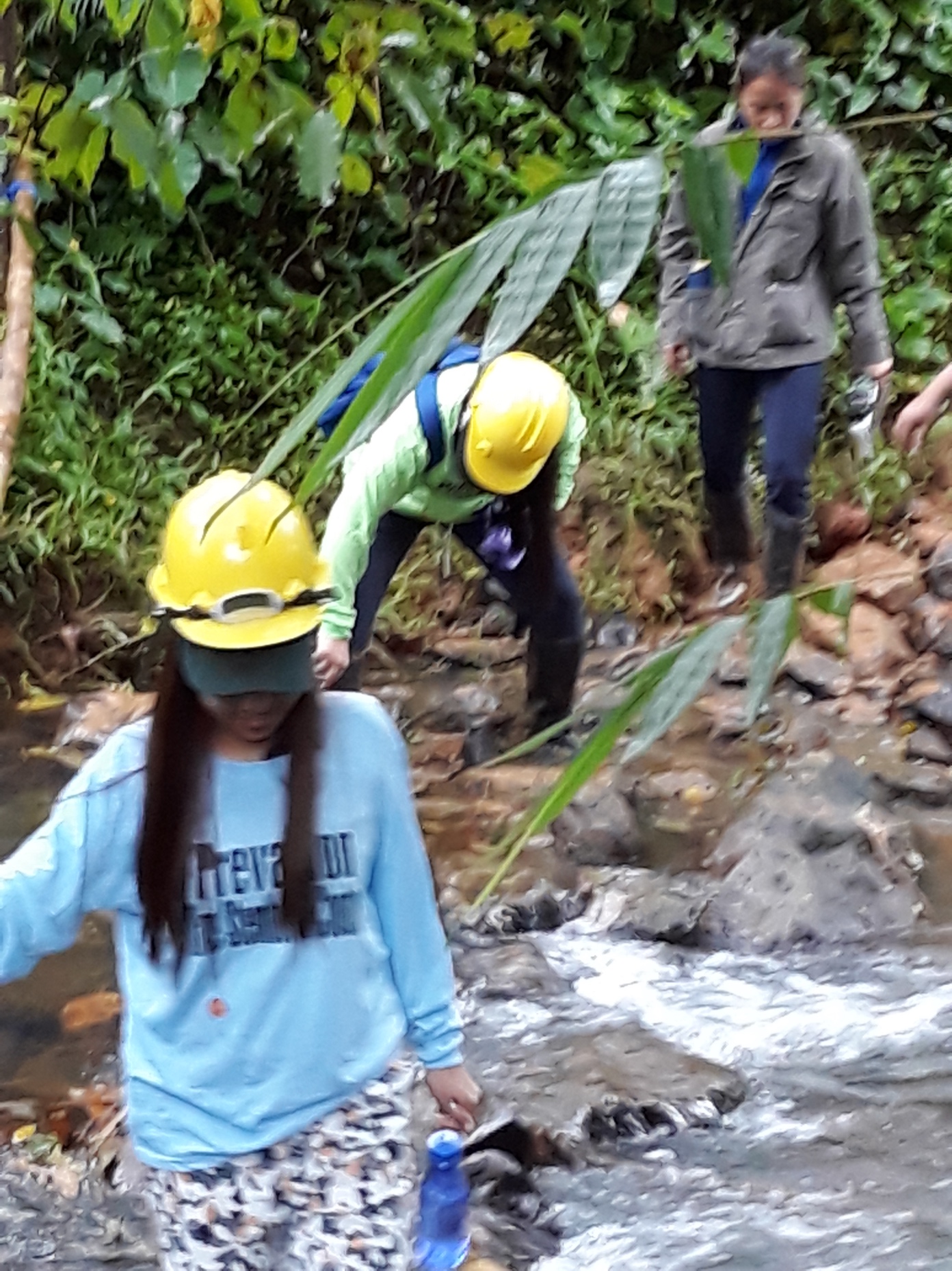 FMC-LQLG-TreePlanting-1108201841 | Fostering Education & Environment ...