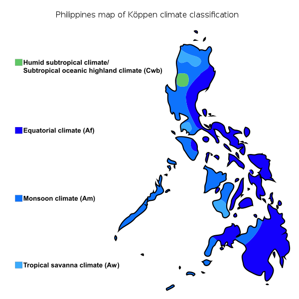 FMC Corp Adds 200 Native Trees to Our Philippine Tropical Forest Cover ...