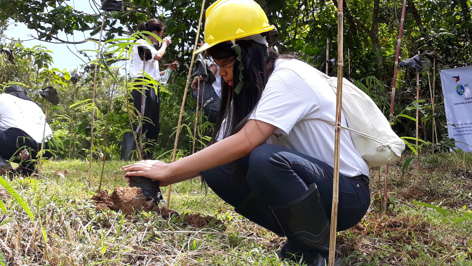 KingNamjoon-reforestation-FEED-9sep201870 | Fostering Education ...