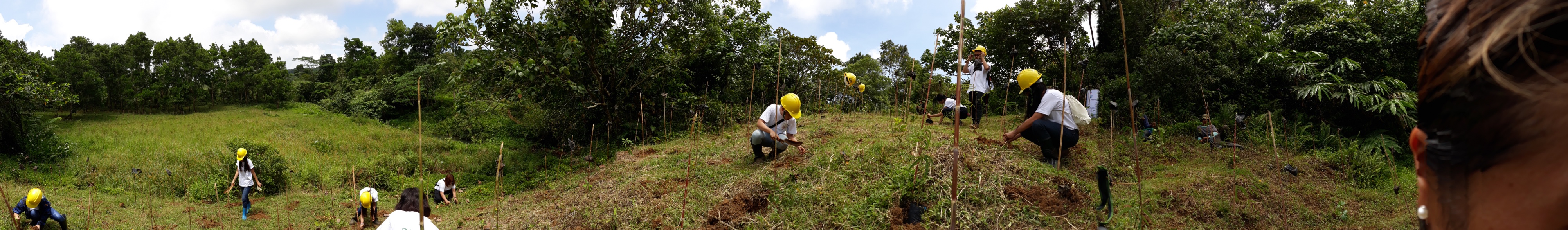 KingNamjoon-reforestation-FEED-9sep201871 | Fostering Education ...