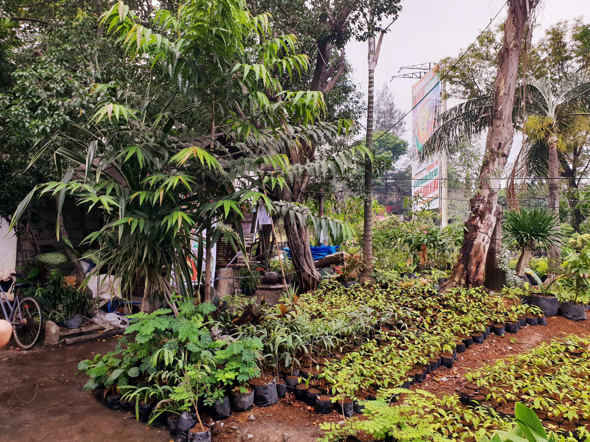 DAMPOL-ES-TIDES-04APR20193 | Fostering Education & Environment for ...