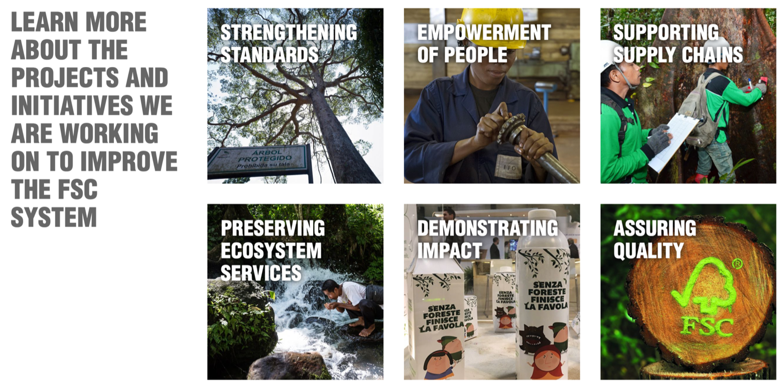 FEED Joins Forest Stewardship Council (FSC) as Member | Fostering ...