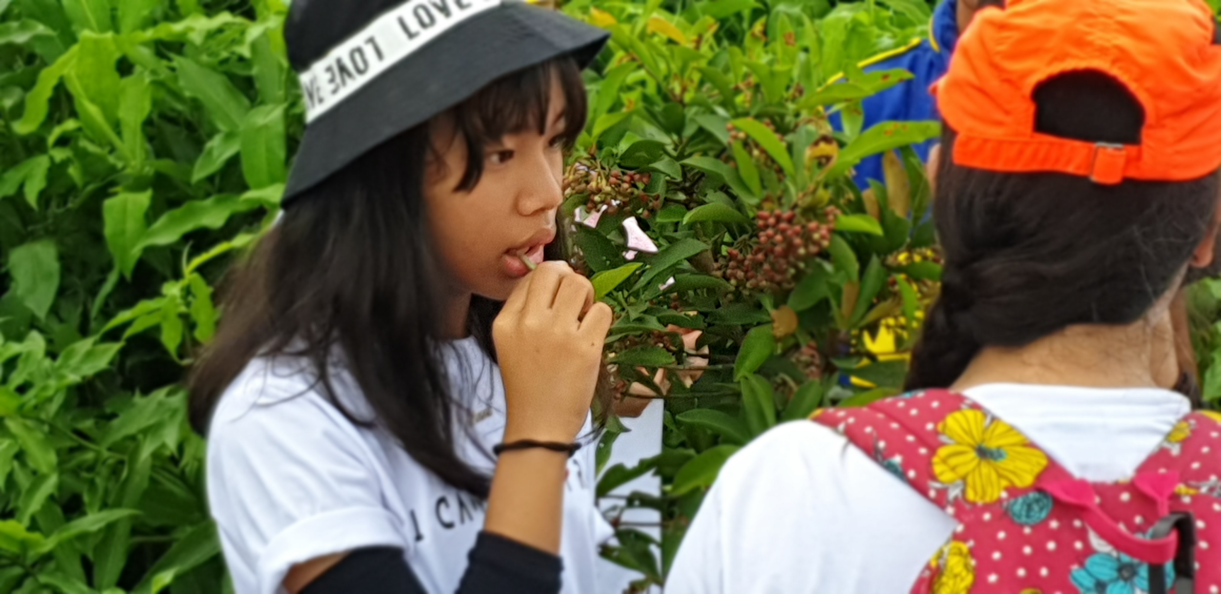 “I Can Make It Right”: Philippine BTS Fans Plant Second Time, Triple ...