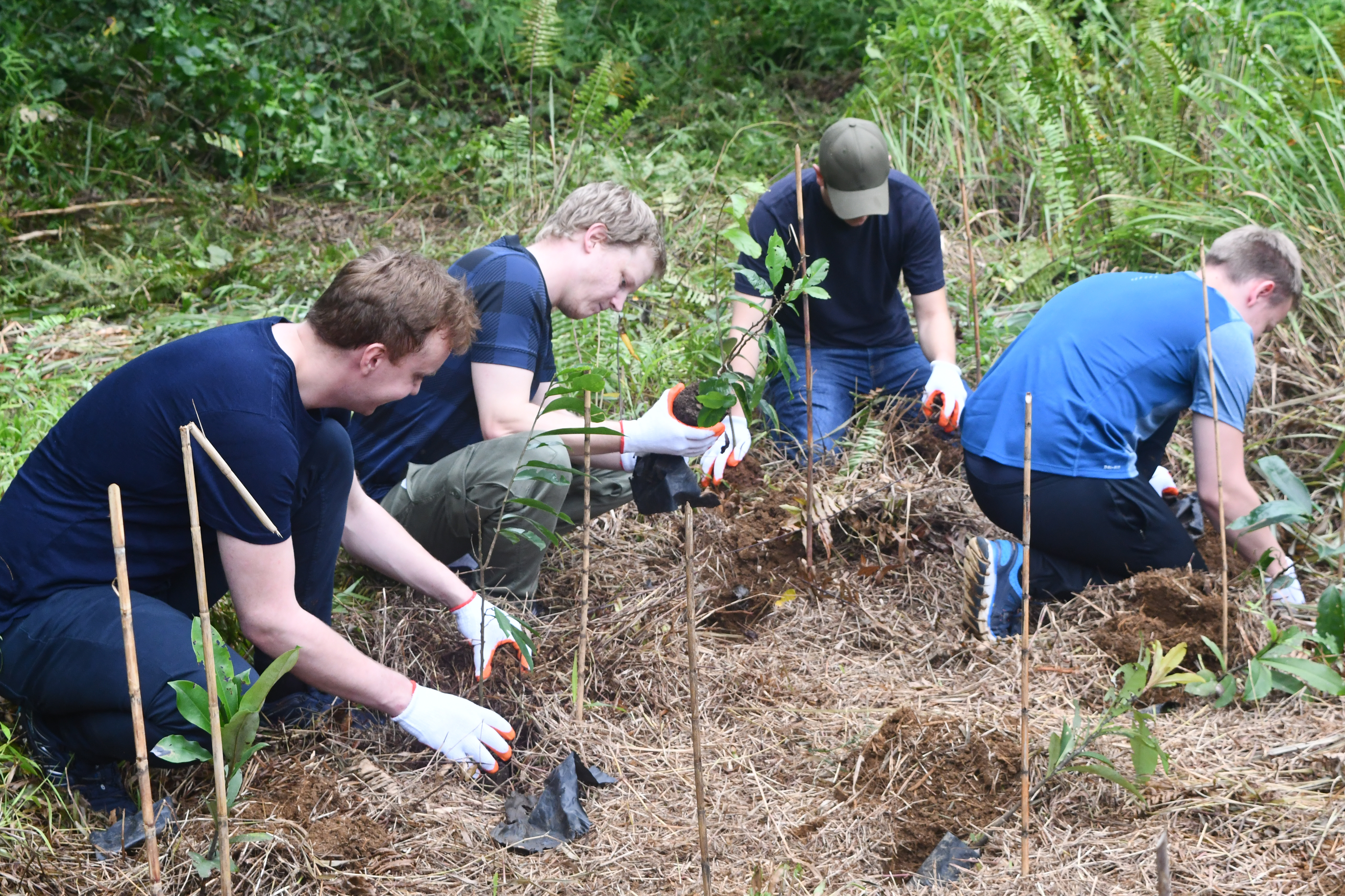 OiP Treeplanting Norwegian seafarers | Fostering Education ...