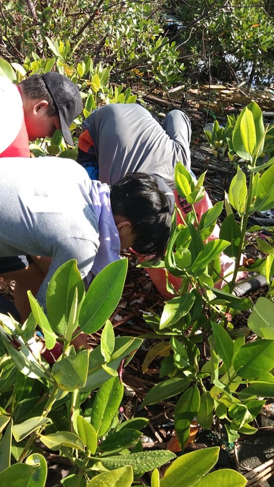 51 One Child, One Tree Volunteers Launch Successful Clean-up Drive ...