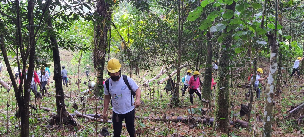 “Young, Wild and Free” – like a Tree, Fleet Management Company ...
