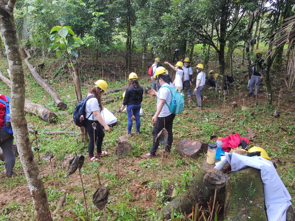 “Young, Wild and Free” – like a Tree, Fleet Management Company ...