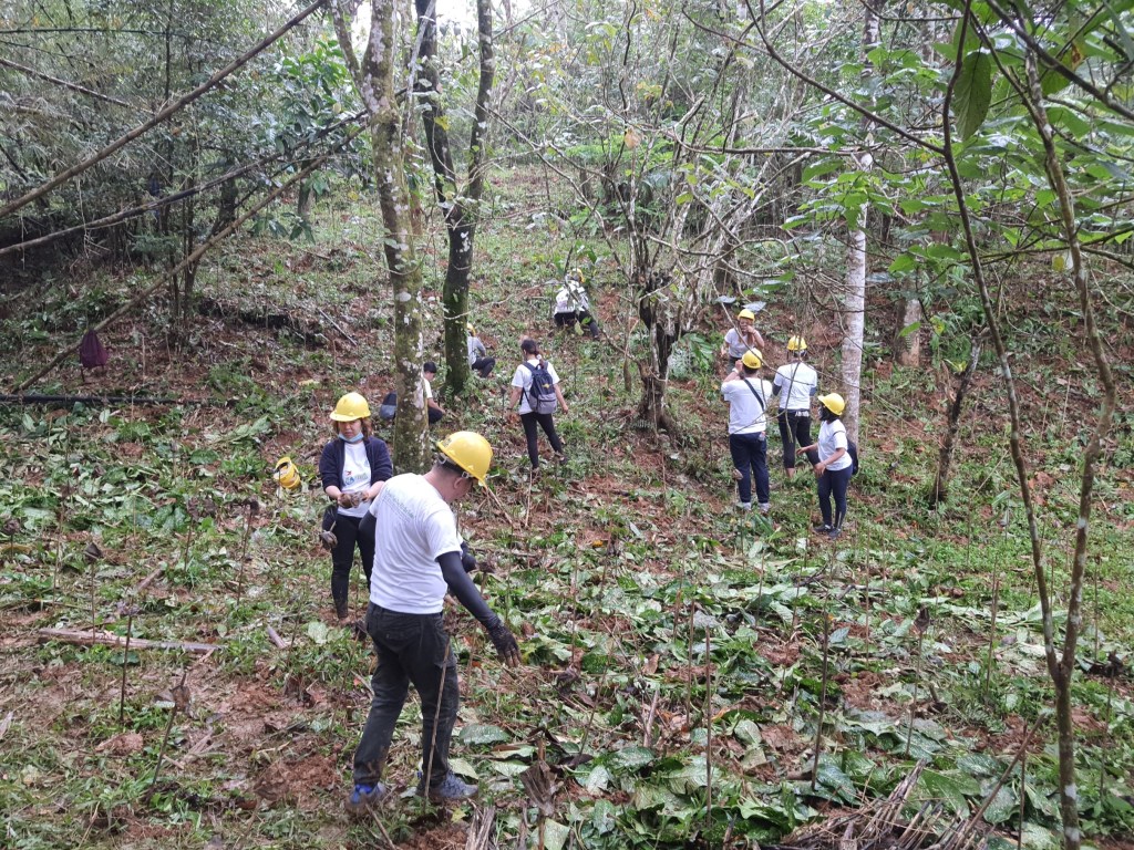 “Young, Wild and Free” – like a Tree, Fleet Management Company ...