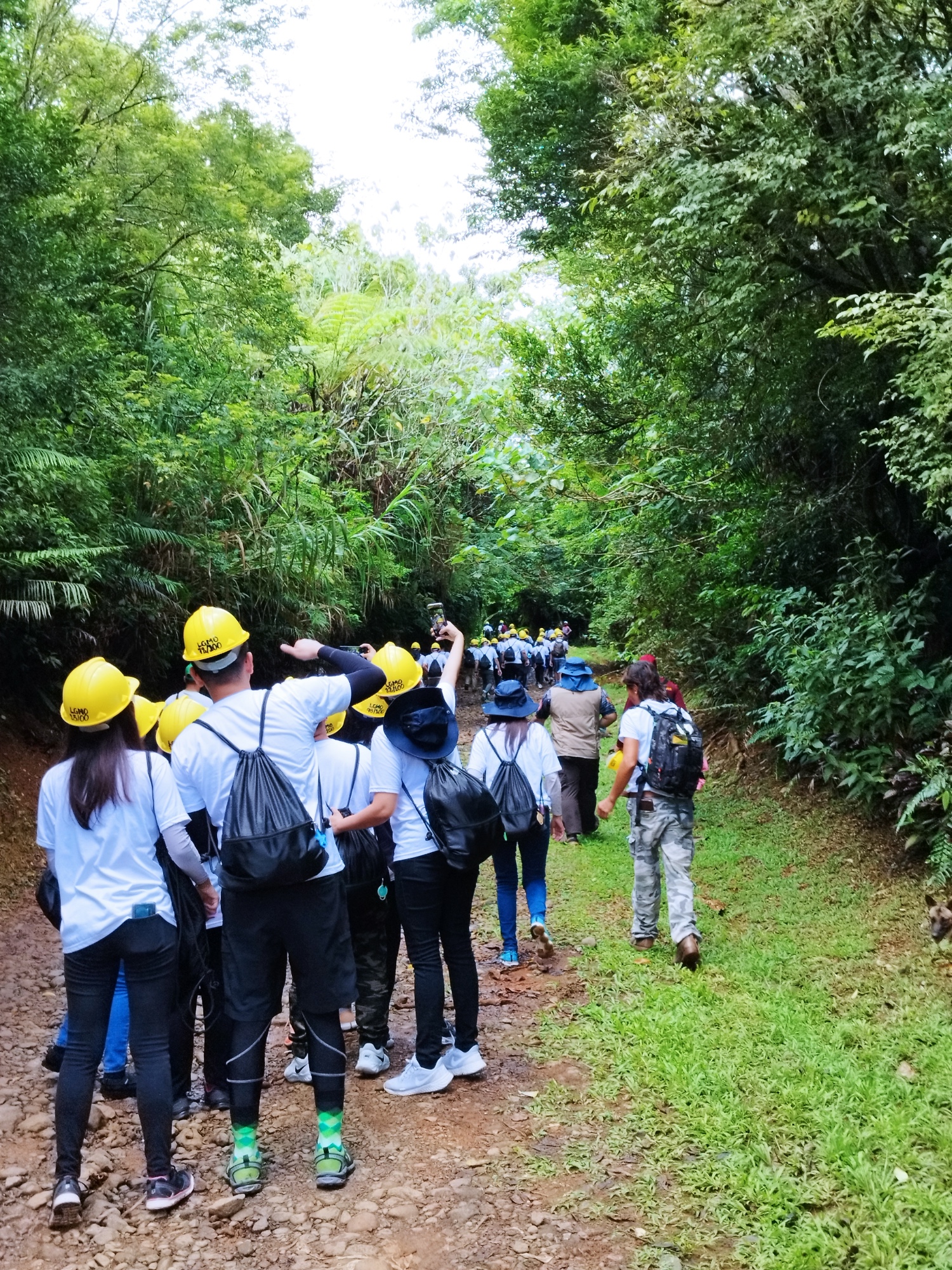 FEED-DCCD-Planting-2022-13 | Fostering Education & Environment for ...