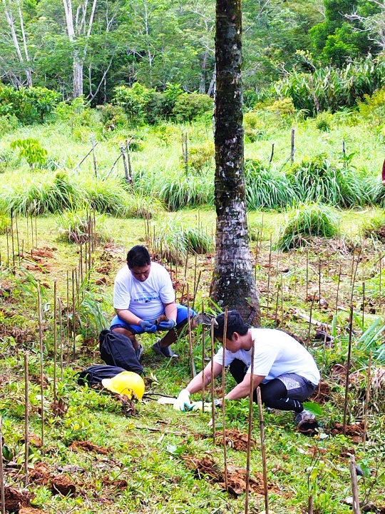 FEED-DCCD-Planting-2022-23 | Fostering Education & Environment for ...
