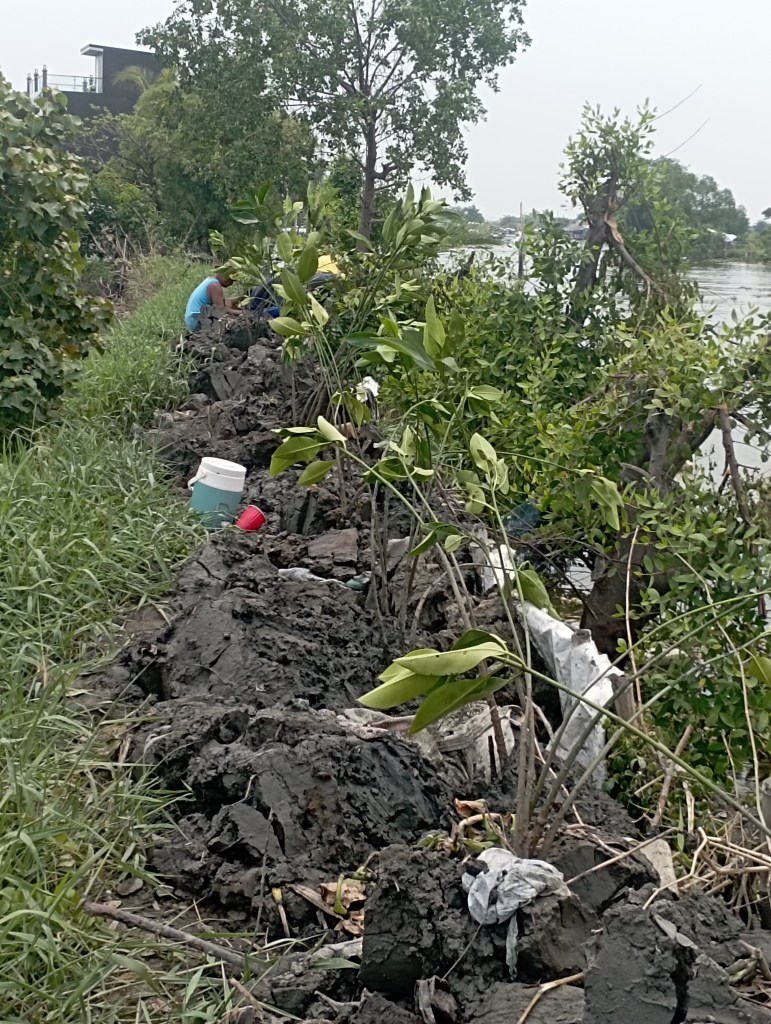 “Kaya natin to, para sa atin naman to”: Hagonoy Fisherfolks Restore ...