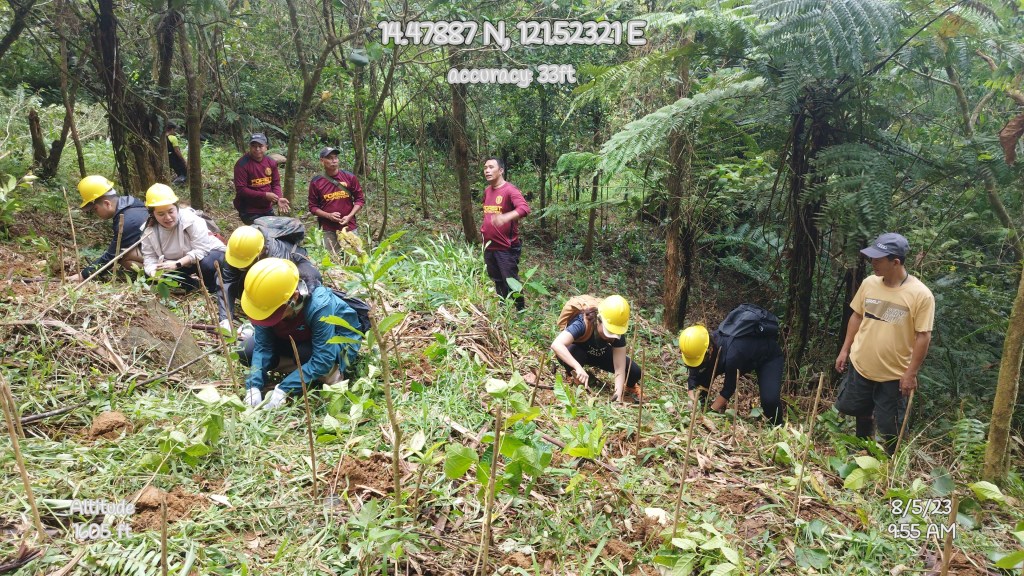 FSDV of Bangko Sentral ng Pilipinas Plant Forest in Sierra Madres ...