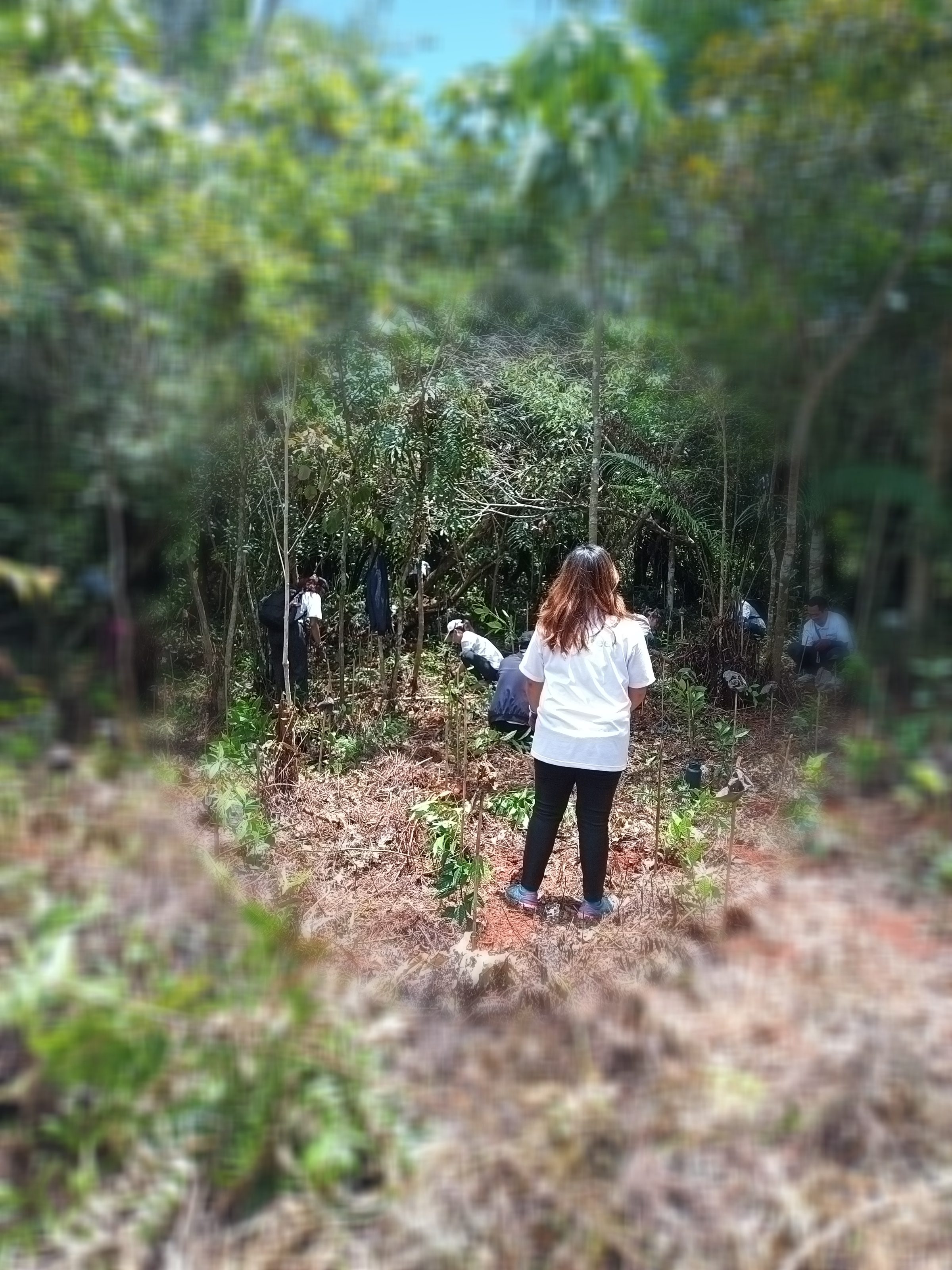 FEED-MERCK-3-LQLG-3-210723-30 | Fostering Education & Environment for ...