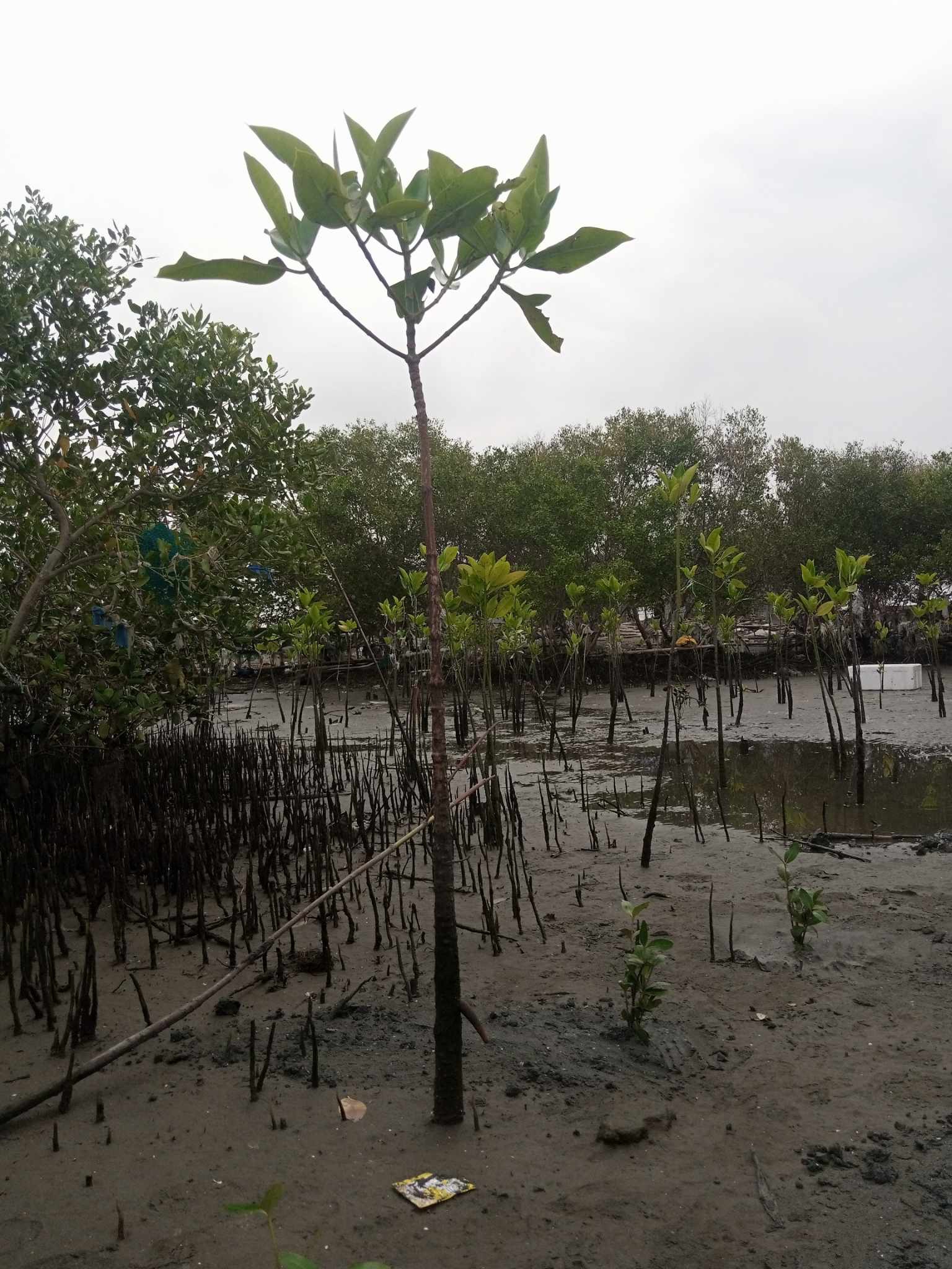 CP-2-OCOT-BU-2-240923-22 | Fostering Education & Environment for ...