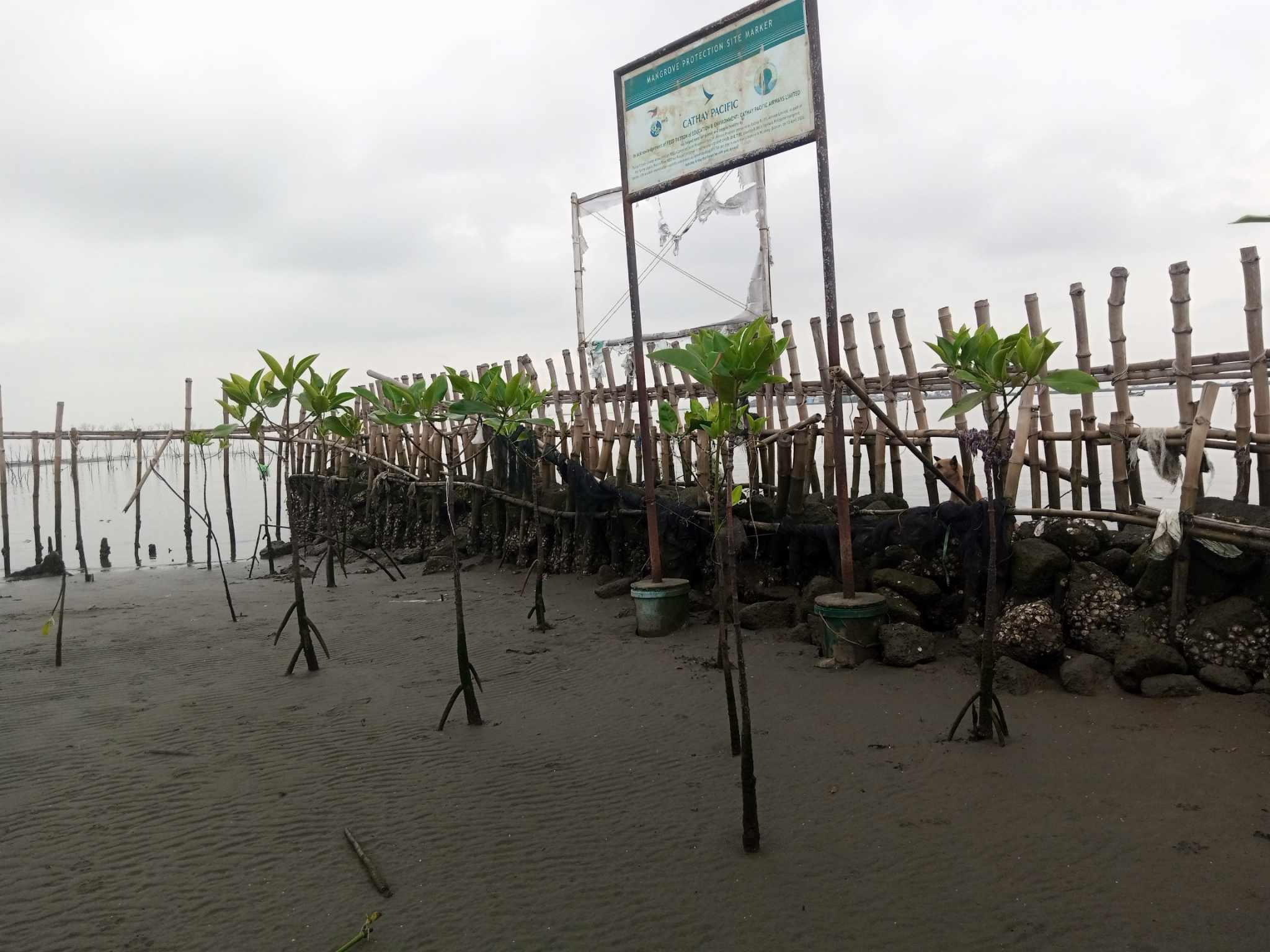 CP-2-OCOT-BU-2-240923-24 | Fostering Education & Environment for ...