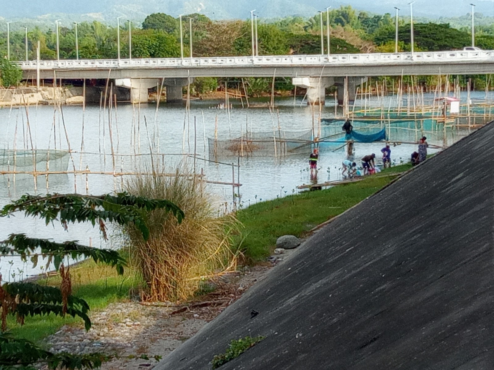 IMG_20221220_154258 | Fostering Education & Environment for Development ...