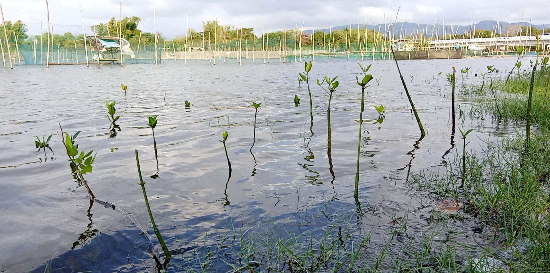 pmftc-lu-2023-2 | Fostering Education & Environment for Development ...