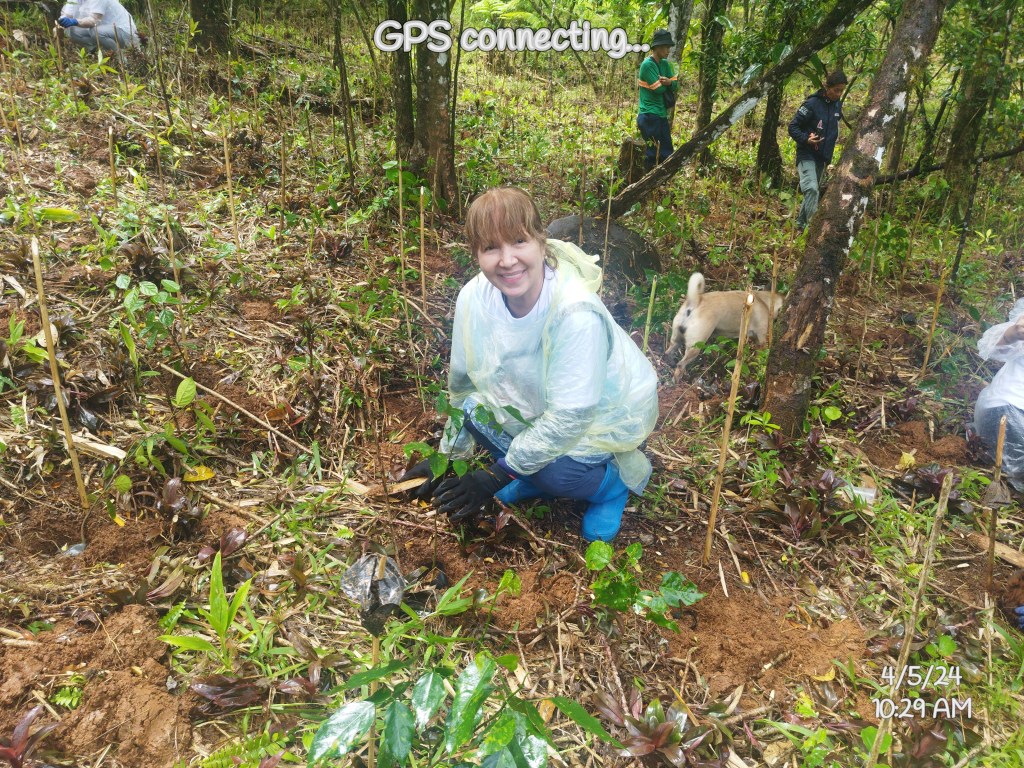 Aspen Philippines 8th Year, 16th Planting Ridge to Reforestation for ...