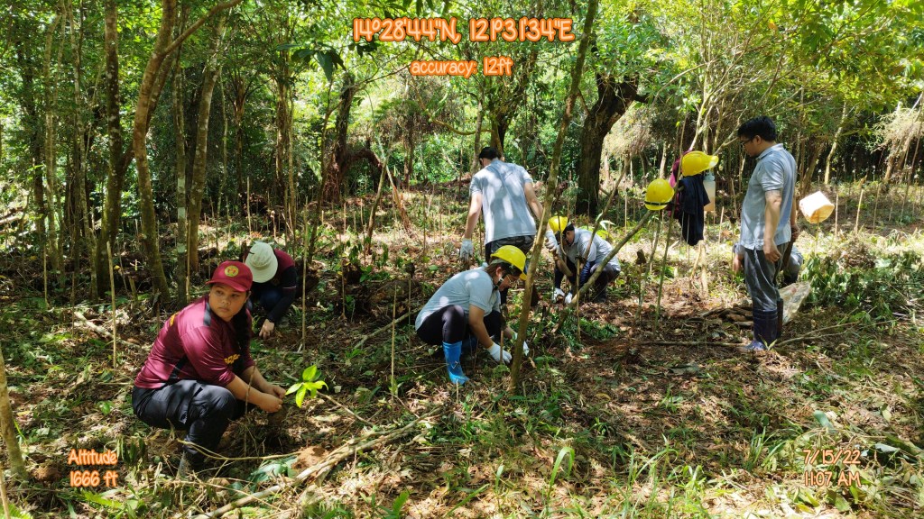 Bluestone Philippines: Planting Seeds of Change in the Sierra Madre ...