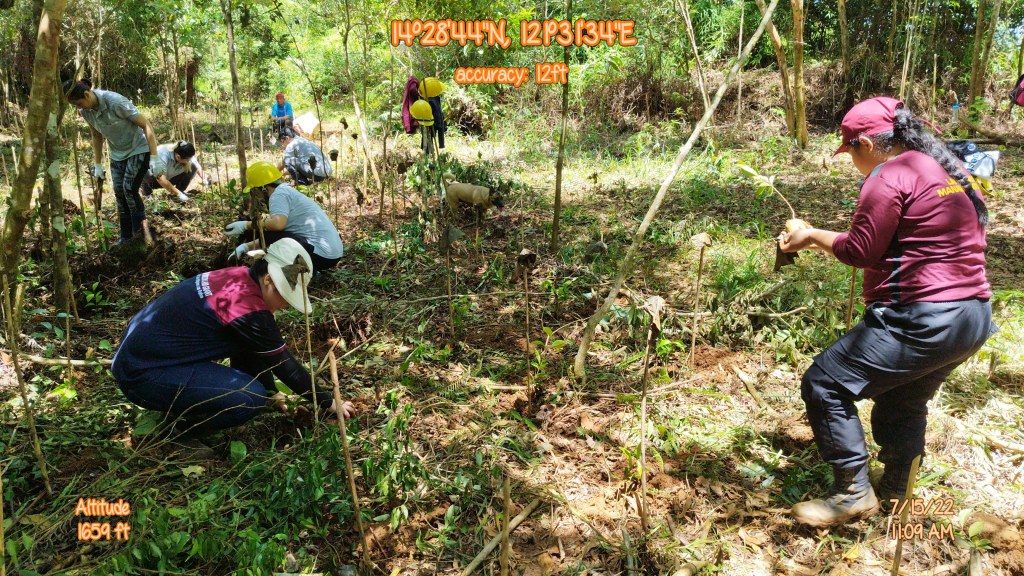 Bluestone Philippines: Planting Seeds of Change in the Sierra Madre ...