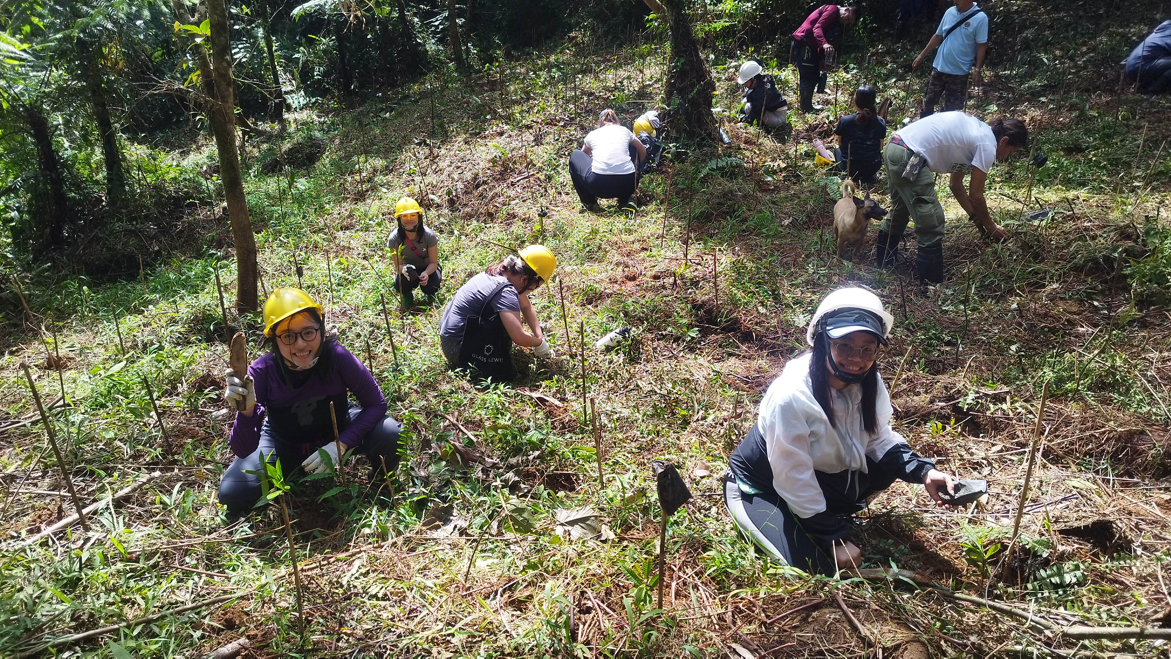 IMG_20260116_110624 | Fostering Education & Environment for Development ...