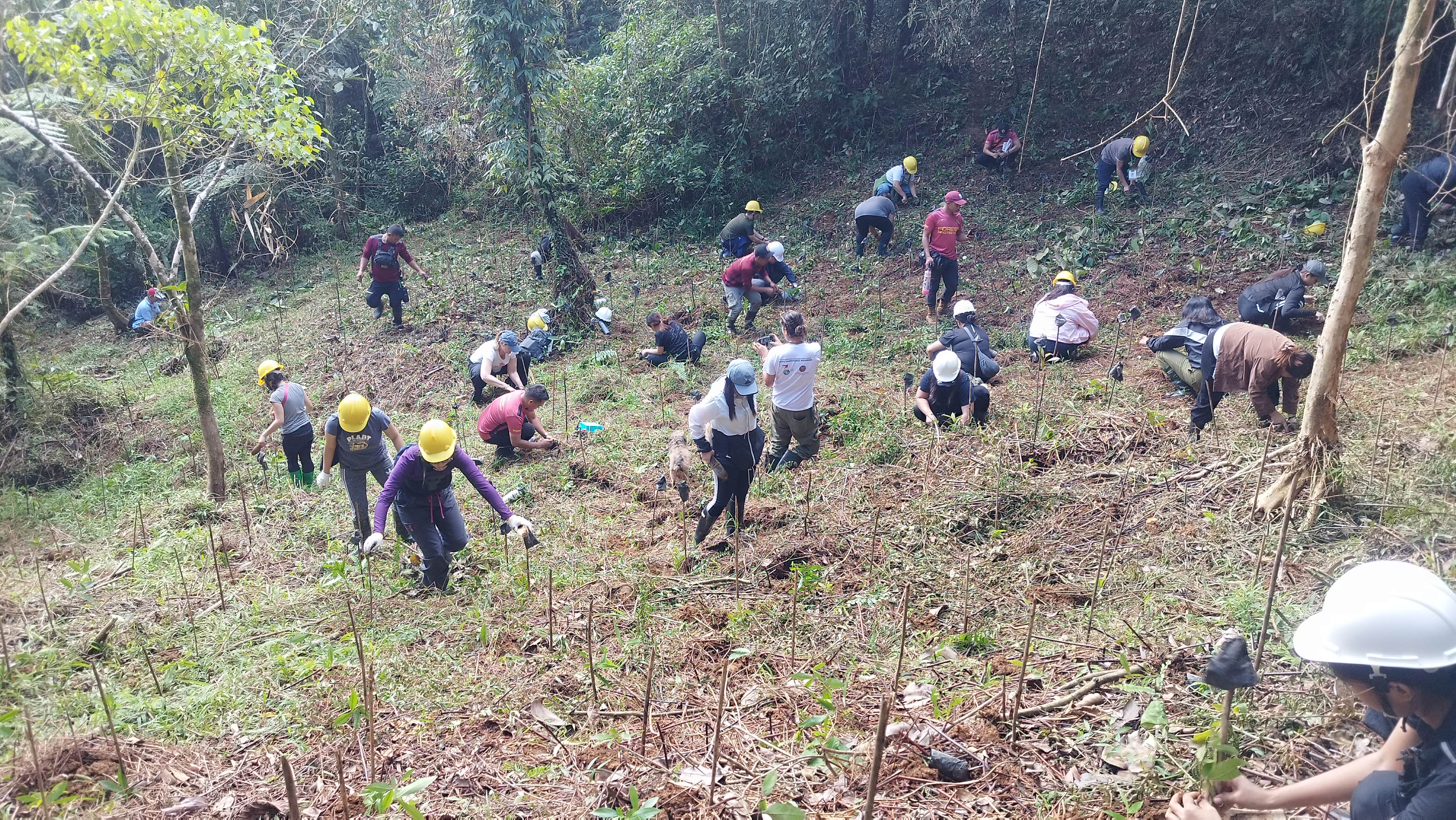 IMG_20260116_111051 | Fostering Education & Environment for Development ...