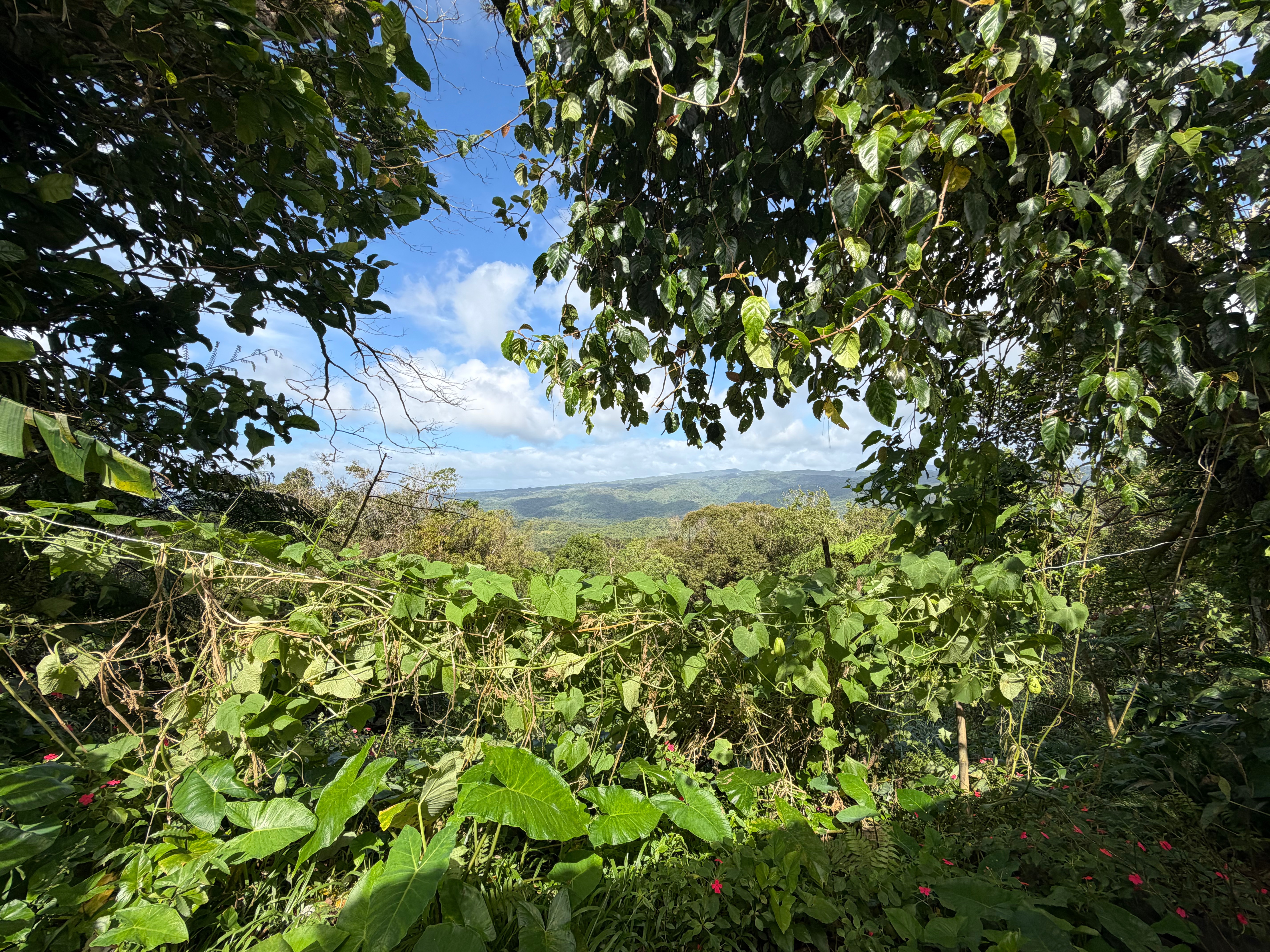 IMG_4479 | Fostering Education & Environment for Development, Inc. (FEED)