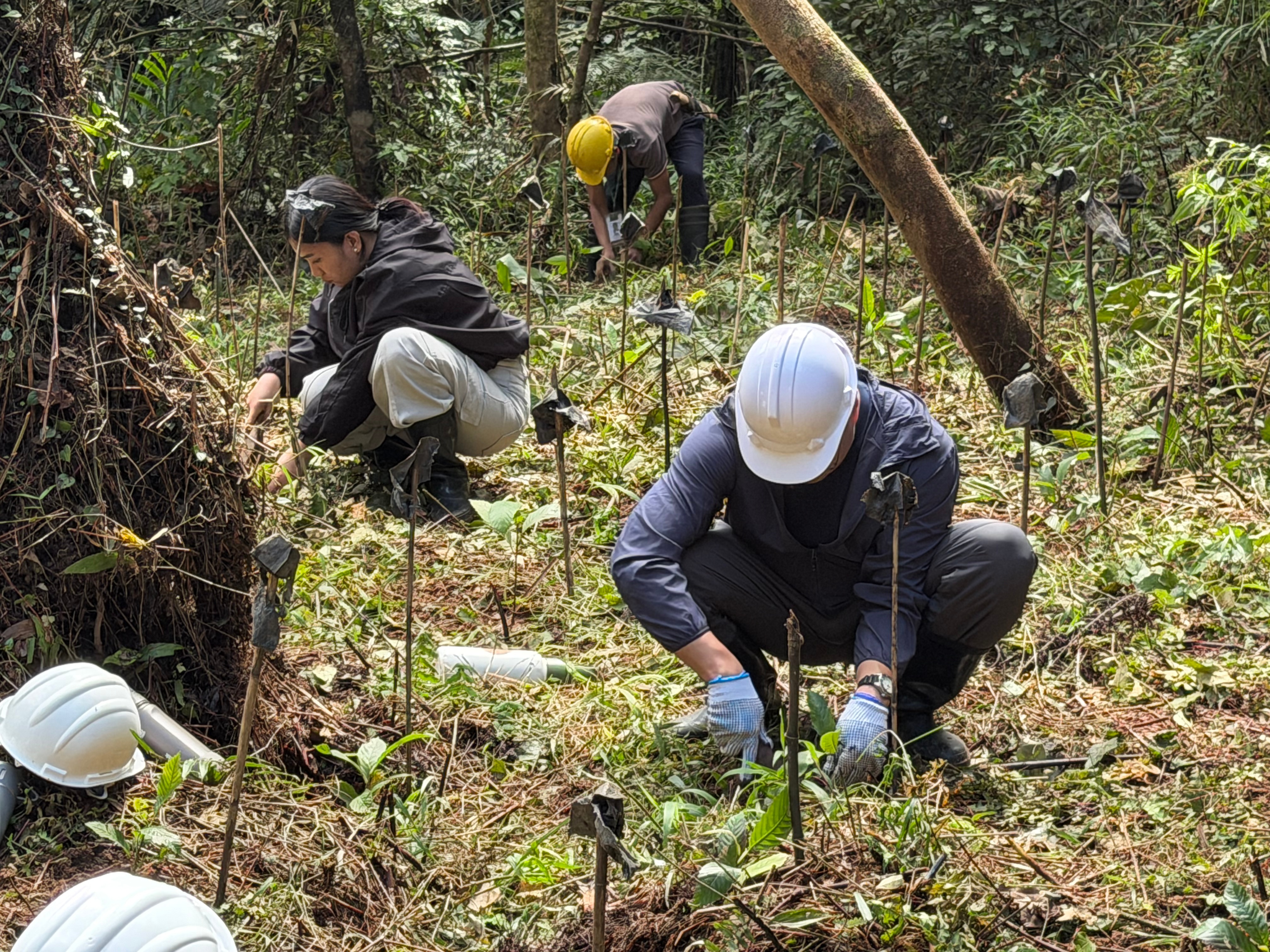 IMG_4560 | Fostering Education & Environment for Development, Inc. (FEED)