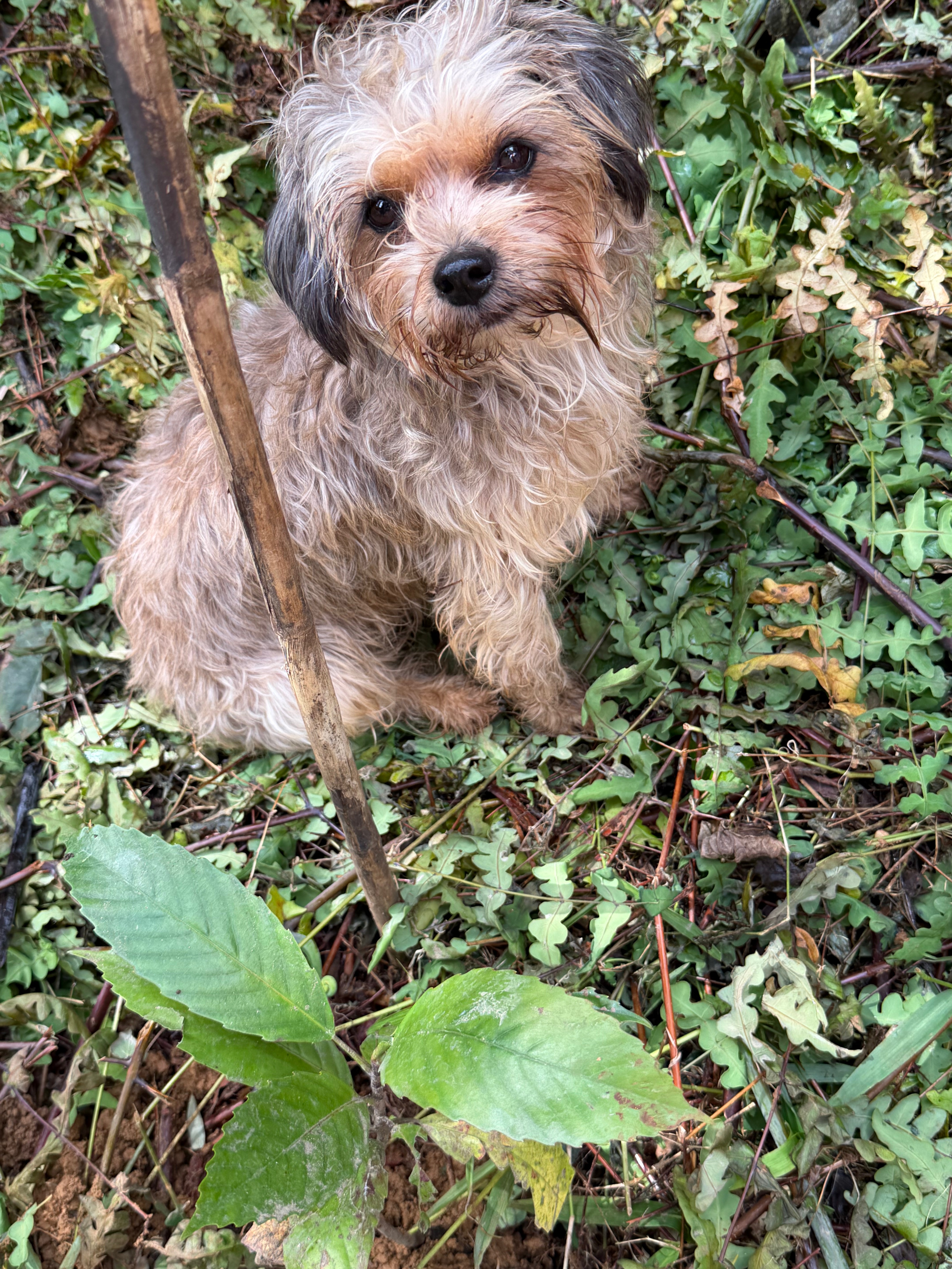 IMG_4587 | Fostering Education & Environment for Development, Inc. (FEED)